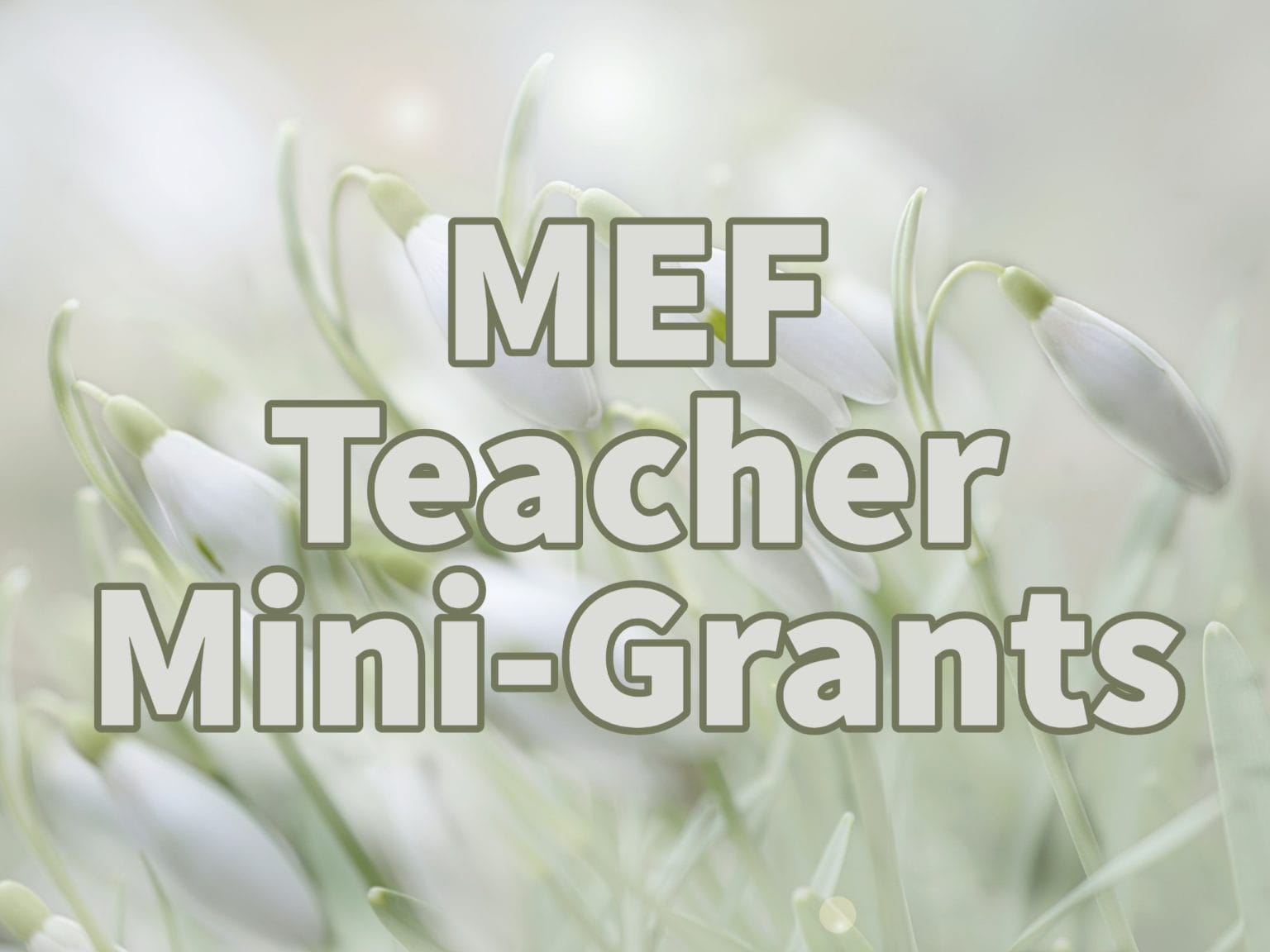 MSD Teachers awarded mini-grants - McMinnville School District